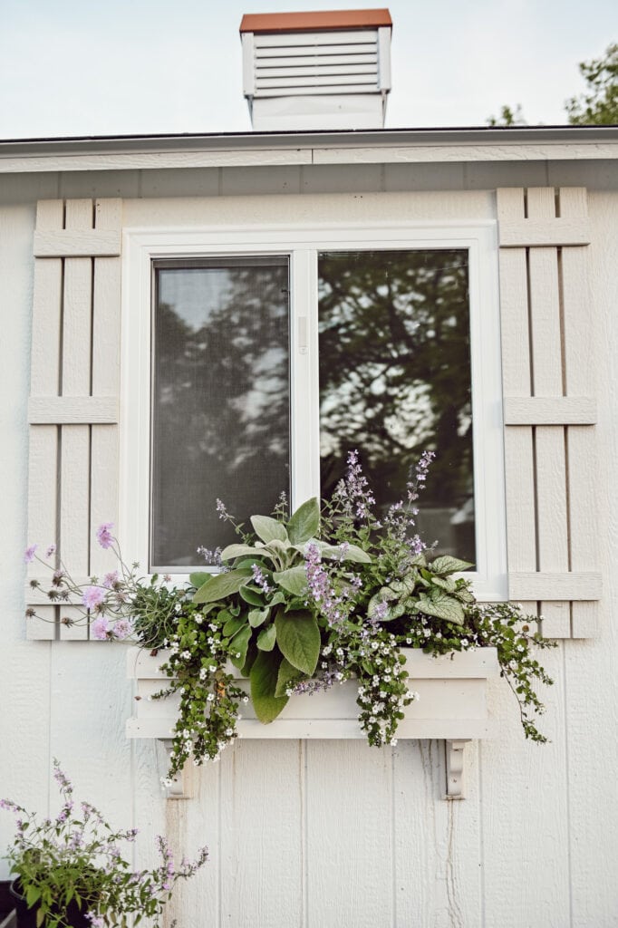 Beuatiful Window Planter Box Ideas - A Blissful Nest