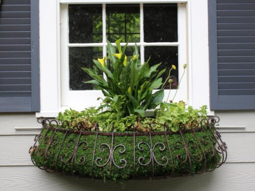 Beuatiful Window Planter Box Ideas - A Blissful Nest