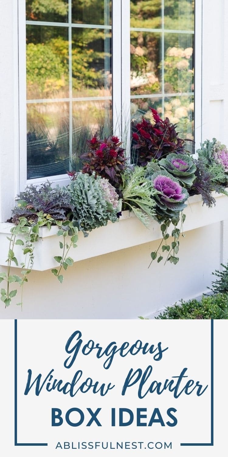 Beuatiful Window Planter Box Ideas - A Blissful Nest