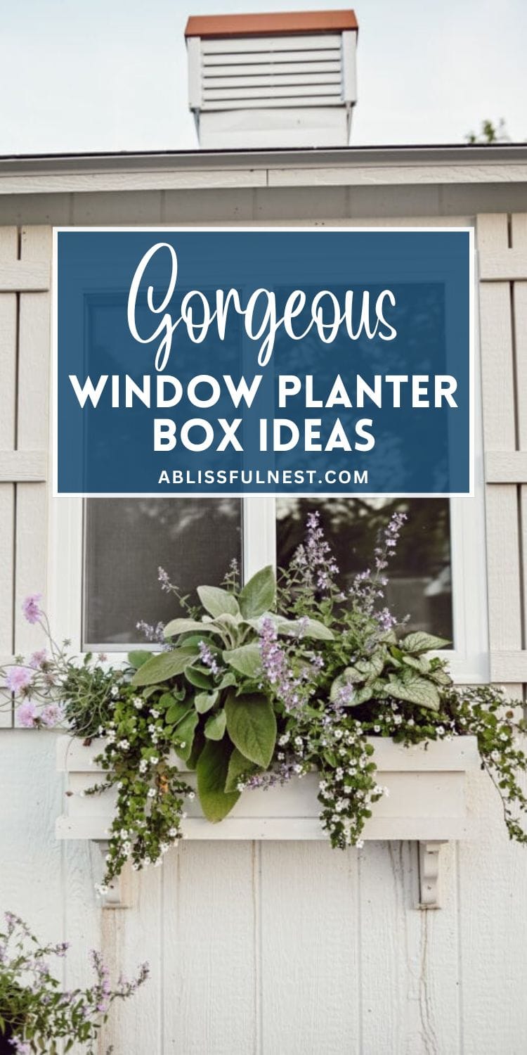 Beuatiful Window Planter Box Ideas - A Blissful Nest