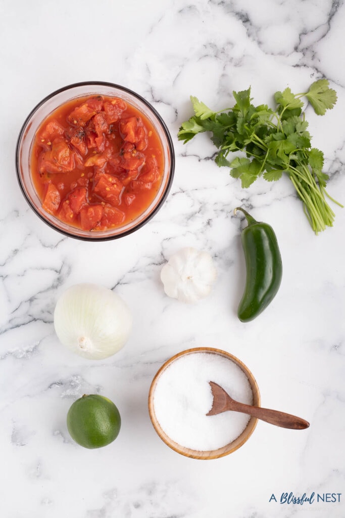 Easy Restaurant Style Salsa Recipe - A Blissful Nest