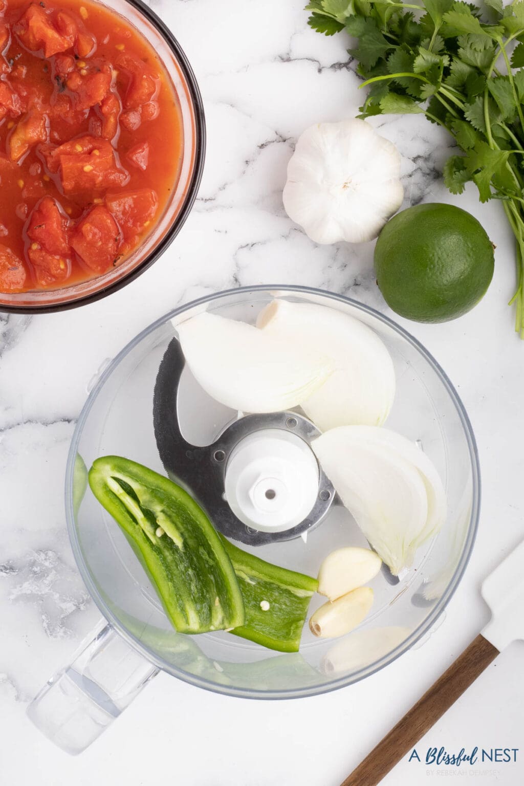 Easy Restaurant Style Salsa Recipe - A Blissful Nest
