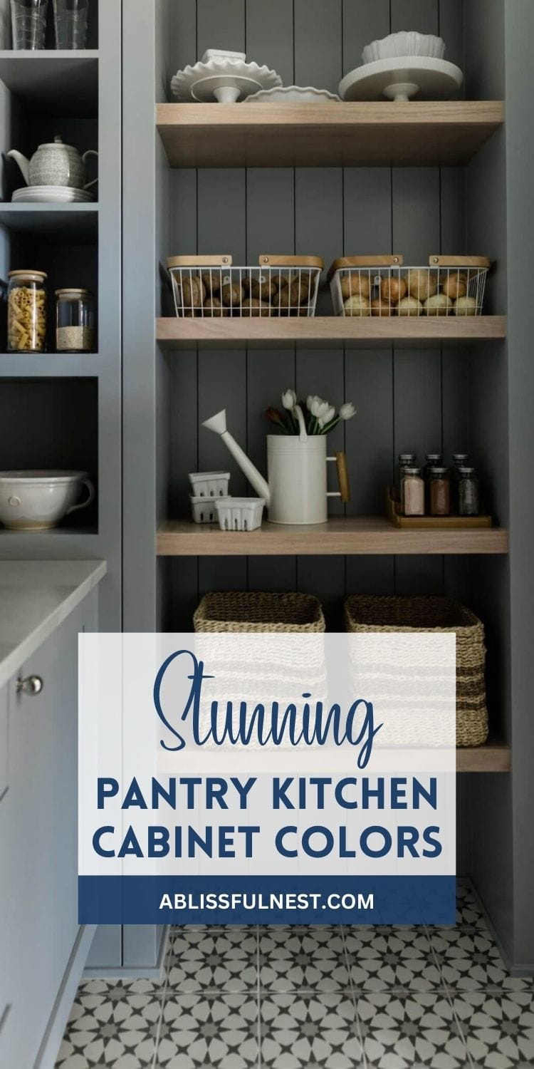Pantry Kitchen Cabinet Colors | A Blissful Nest