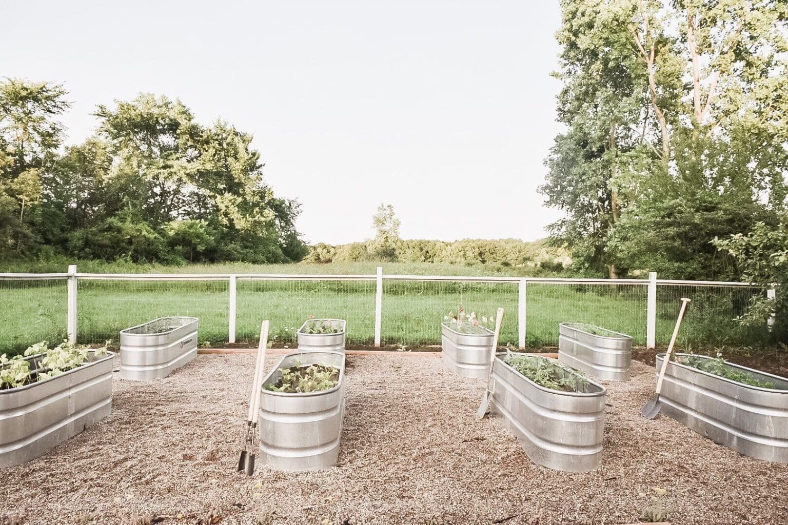 Backyard Raised Garden | A Blissful Nest