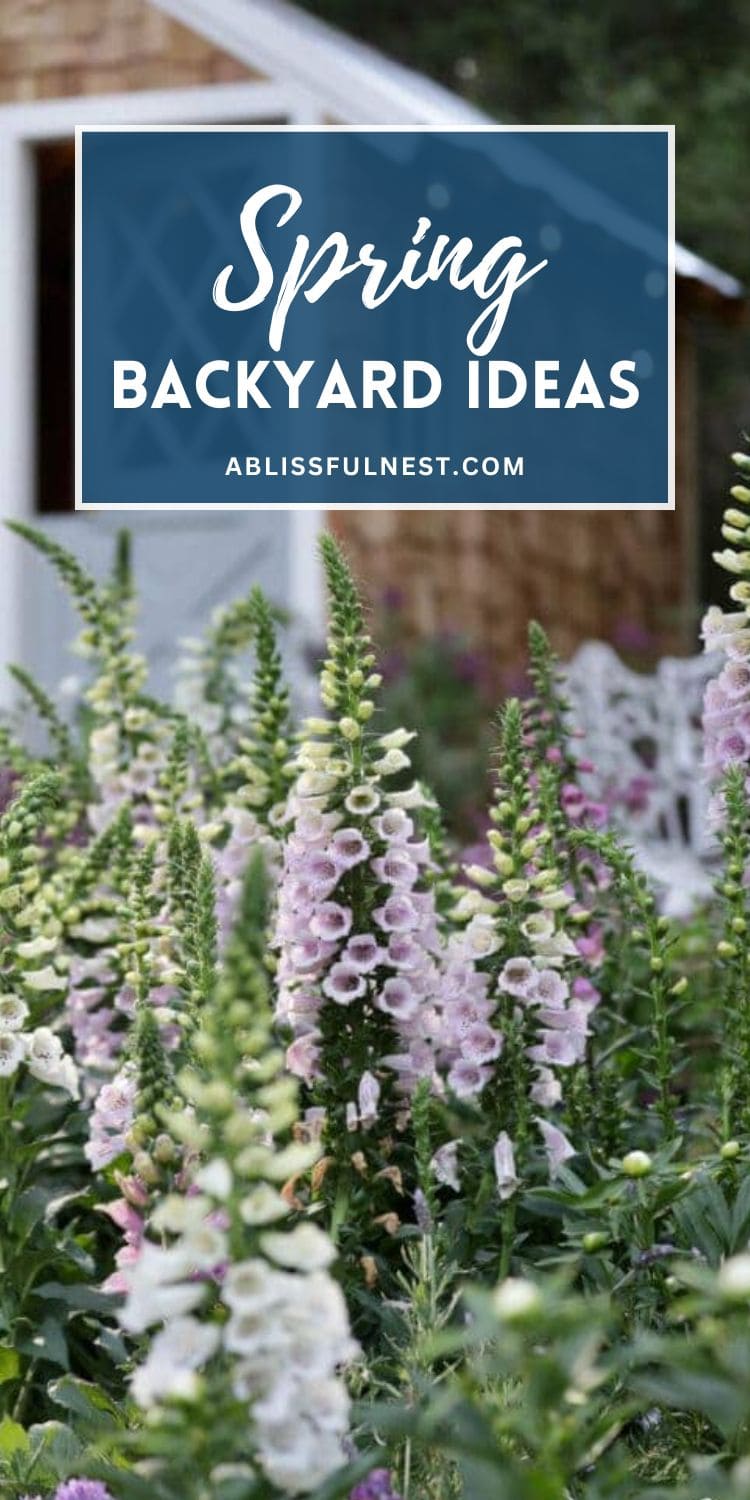 Spring Backyard Ideas | A Blissful Nest