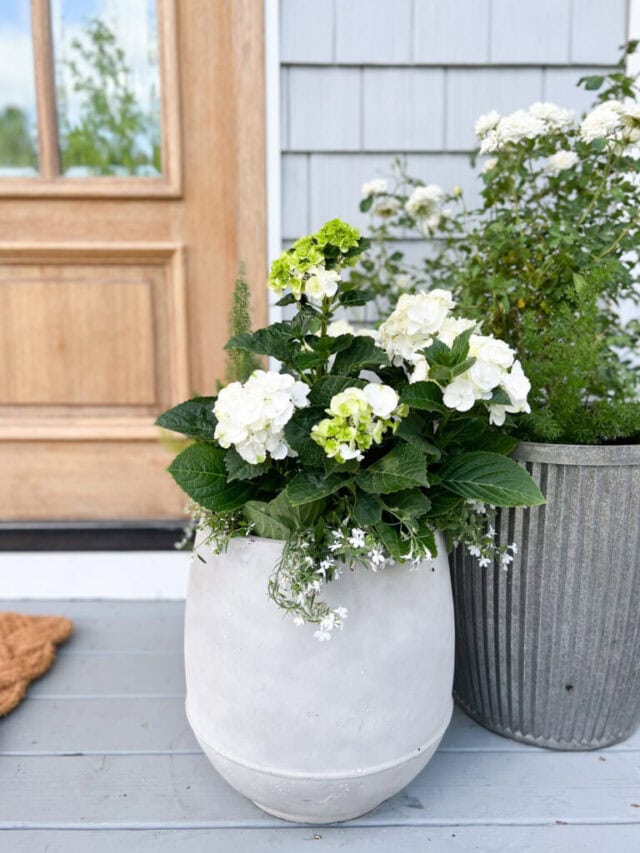 Full Sun Front Porch Planter Ideas | A Blissful Nest