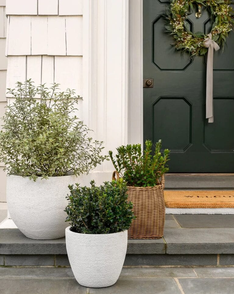 Full Sun Front Porch Planter Ideas | A Blissful Nest