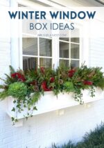 Winter Window Box Ideas | A Blissful Nest