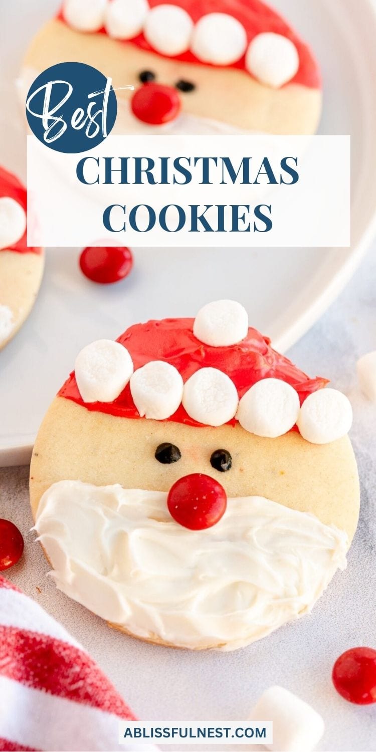 Amazing Christmas Cookies | A Blissful Nest