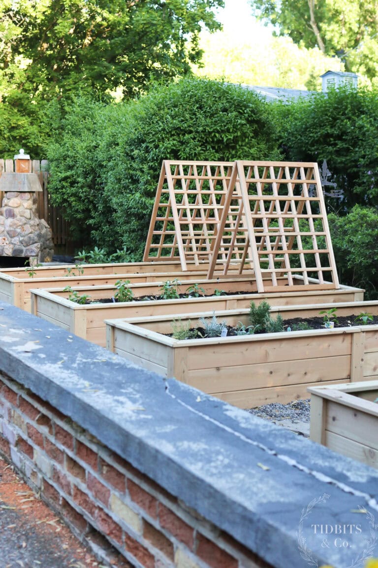 Backyard Garden Box Ideas | A Blissful Nest