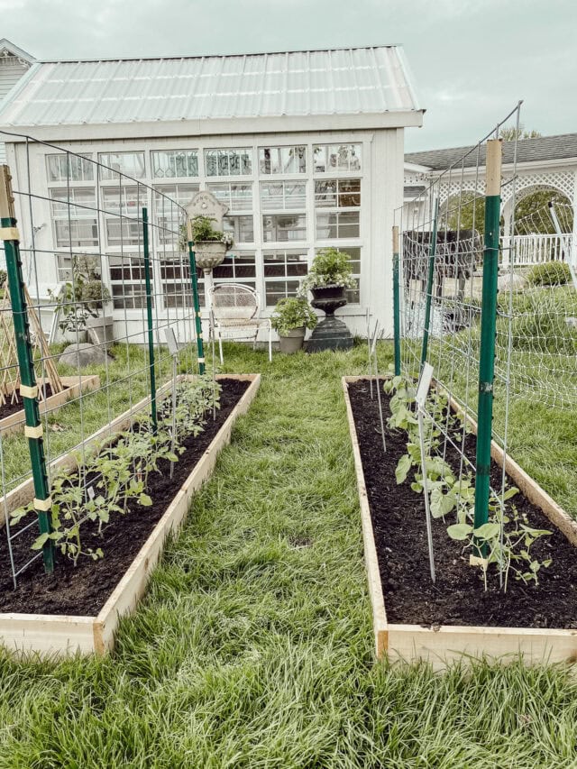 Backyard Garden Box Ideas | A Blissful Nest