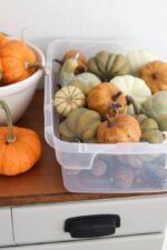 Fall Organization Ideas For The Home | A Blissful Nest