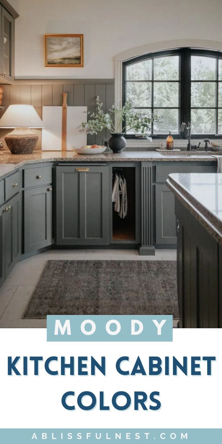 Moody Kitchen Cabinet Colors | A Blissful Nest