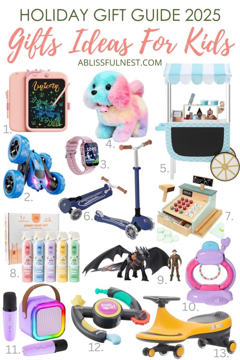 Holiday Gift Guide 2025: Gifts For Kids and Teens | A Blissful Nest